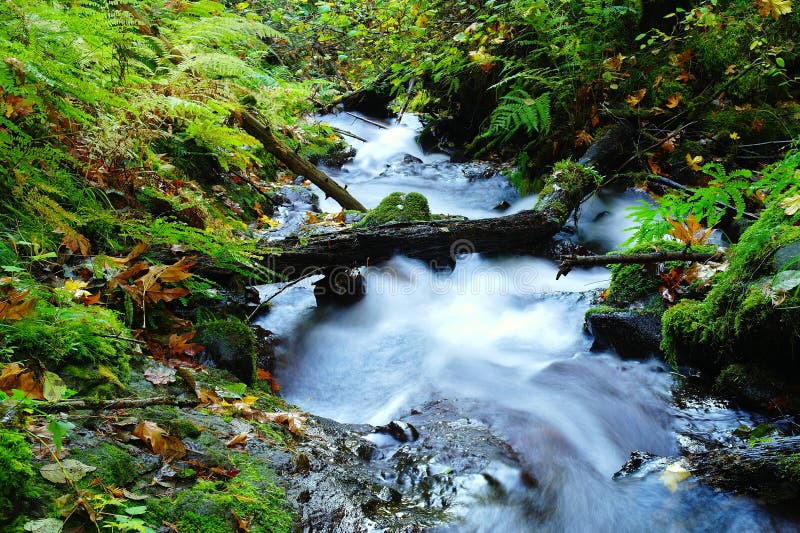 Slow Stream of a Mini Waterfall in Autumn Garden Stock Image - Image of ...