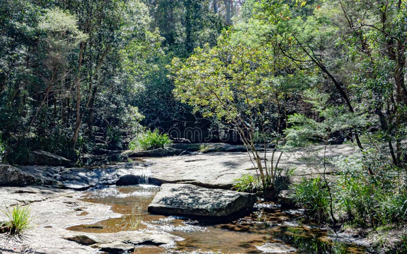 Slow stream stock image. Image of creek, water, fresh - 197188499