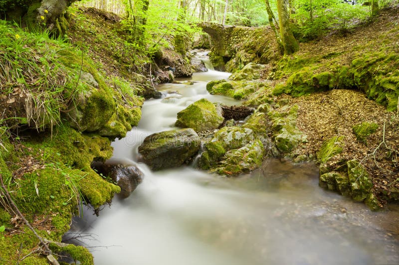 A slow stream silky. stock photo. Image of brook, calm - 24703382