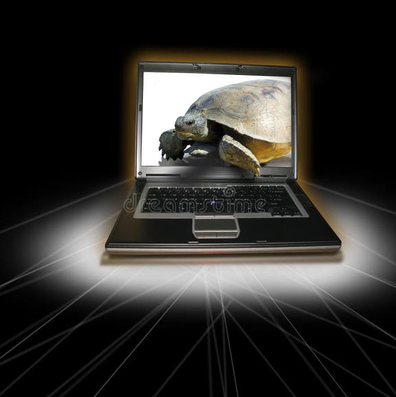 Slow technology stock image. Image of connectivity, turtle - 6468653