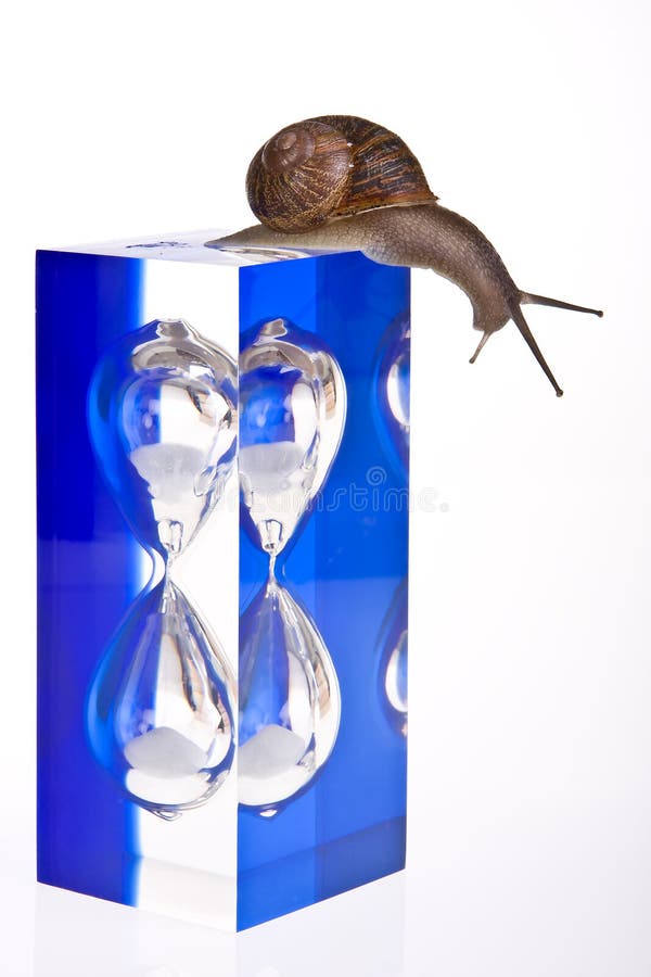 Slow time stock photo. Image of shell, humor, concept - 5603610