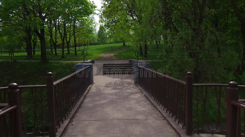 Slow Walk Along Bridge Over Canal in Park Stock Footage - Video of ...