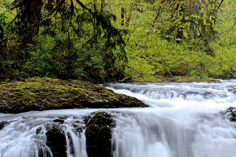 Slow Water Falling Off Rocks in a Green Forest Stock Photo - Image of ...