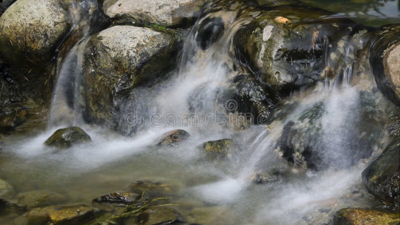 Slow water stock image. Image of beautiful, natural, nature - 60441571