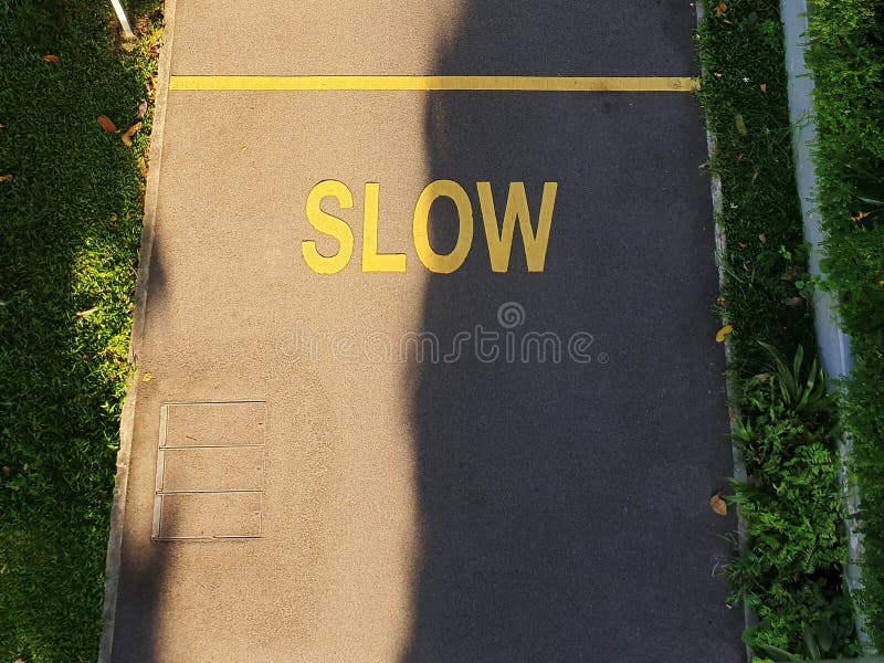 Slow wording on the path stock photo. Image of sunlit - 314184140