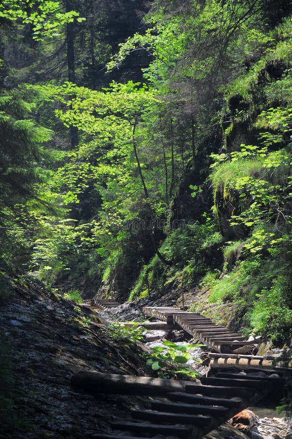 Slowaaks Paradijs stock foto. Image of wandeling, nave - 19431206