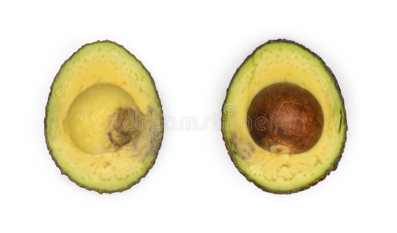 Slowly Decaying Avocado Slices Against White Background Stock Image ...