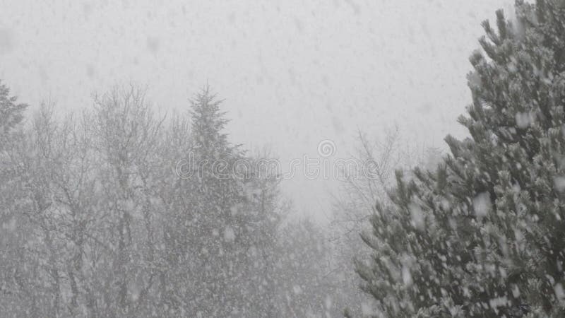 Slowly Falling Snow Flakes Against White Sky Natural Light and Speed ...