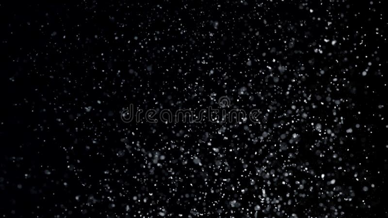 Slowly Falling Snow on Black Background Stock Footage - Video of ...