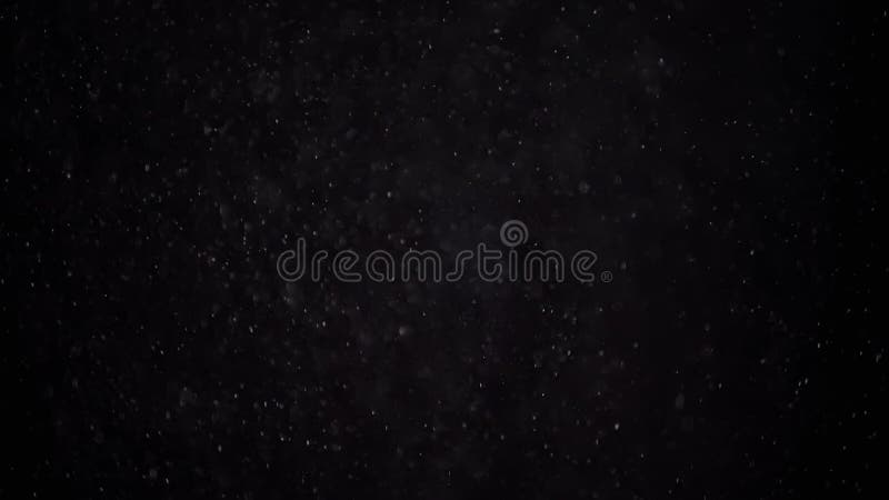 Slowly Falling Stream of Particles of Dust, Snow, Tinsel on a Black ...