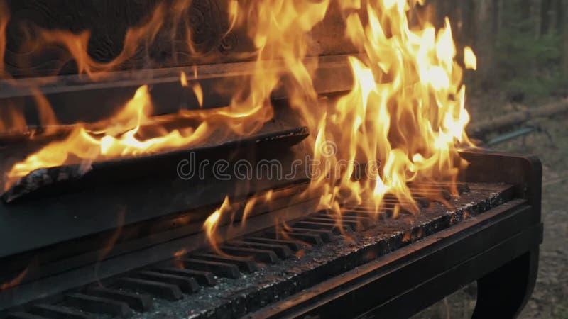 The Man Plays Grand Piano - All on Fire Stock Video - Video of nature ...