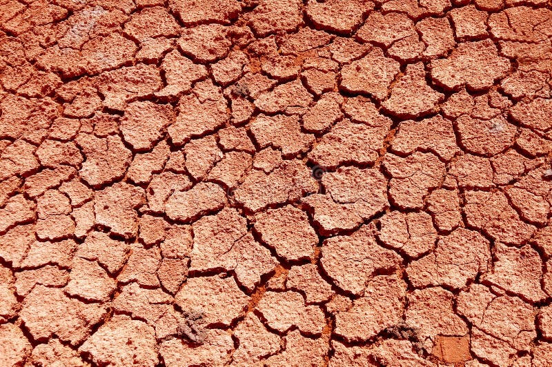 Dried Sludge Treatment from Wastewater Management System, Dried Sludge ...