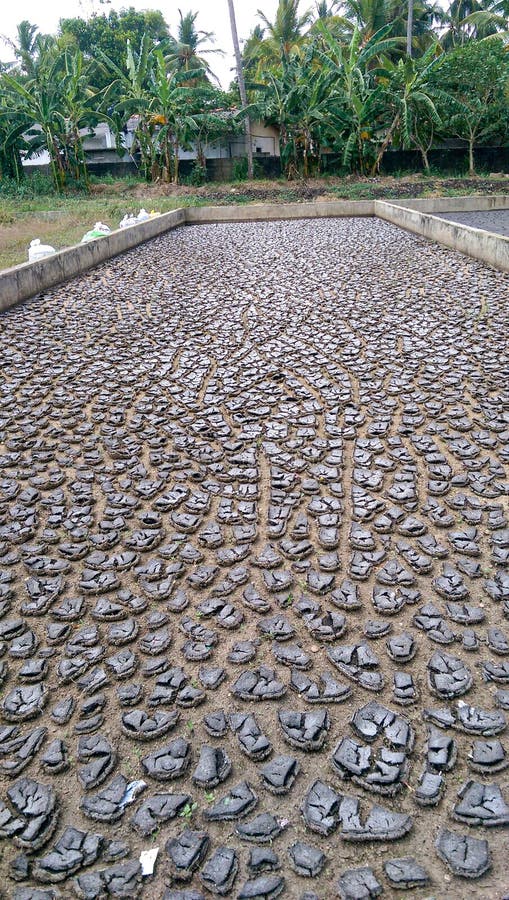 Sludge of Waste Water Treatment Plant in Sri Lanka Stock Image - Image ...