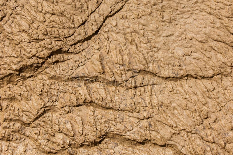 Sludge, Silt, Clay, Mud, Ooze, Slime Stock Photo - Image of raft ...