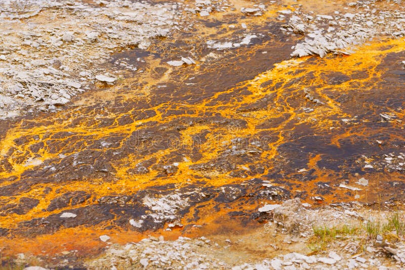 Sludge from Wastewater Treatment Process Stock Image - Image of tapioca ...