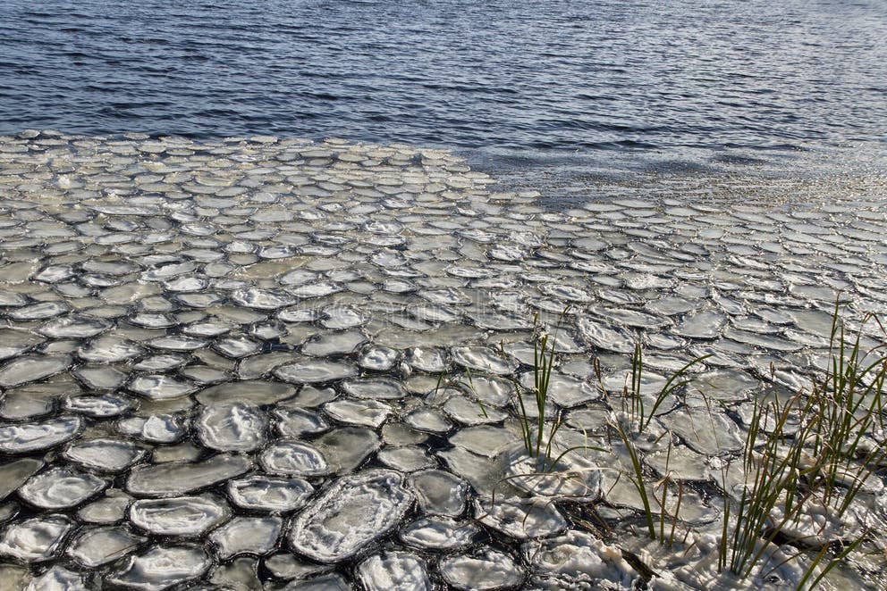 Sludges on water. stock photo. Image of climate, beautiful - 47692390