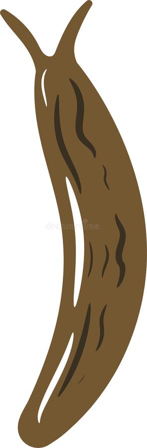 Land Slug stock vector. Illustration of realistic, slime - 255524612