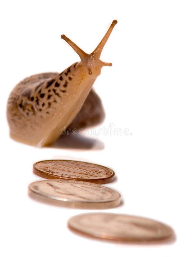 Sluggish stock image. Image of black, slime, snail, slowish - 204385