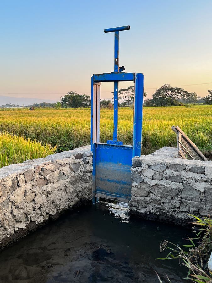 Sluice Gate or Water Gate Useful for Regulating Water Discharge. Stock ...