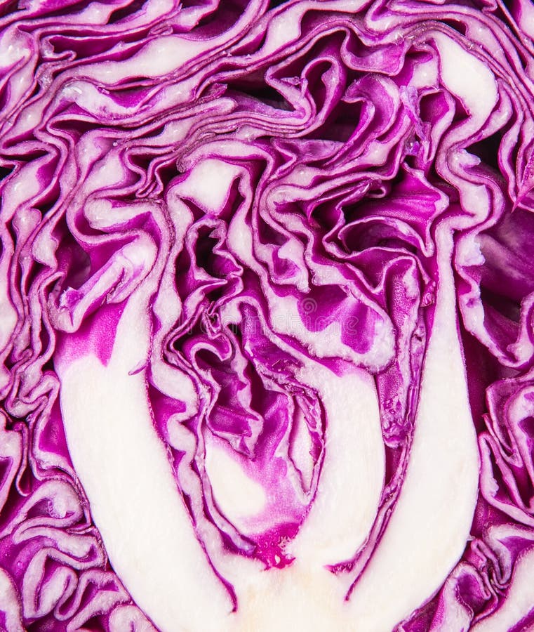 Halve Besnoeiings Rode Kool I Stock Afbeelding - Image of salade ...