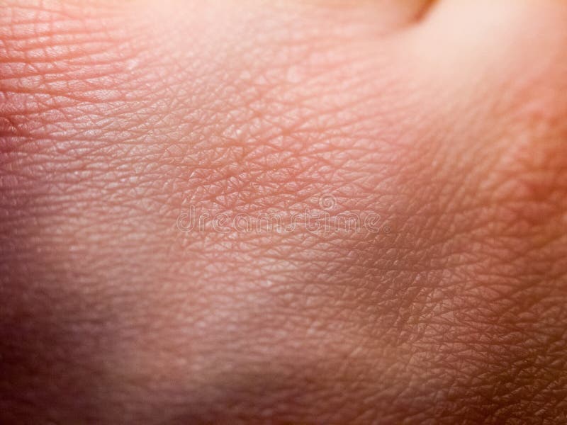 Sluit Omhoog Van De Bleke Witte Hand Van De Huidtextuur Stock Foto ...