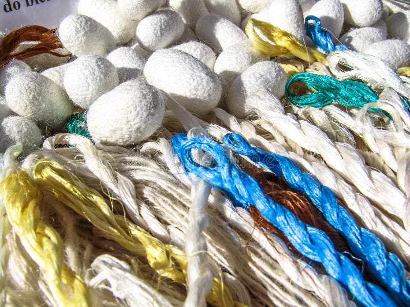 Zijderupsen en cocons stock foto. Afbeelding bestaande uit making ...