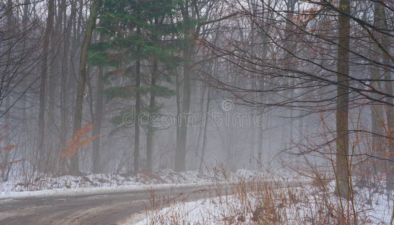 Slush on the road stock photo. Image of season, landscape - 67390644
