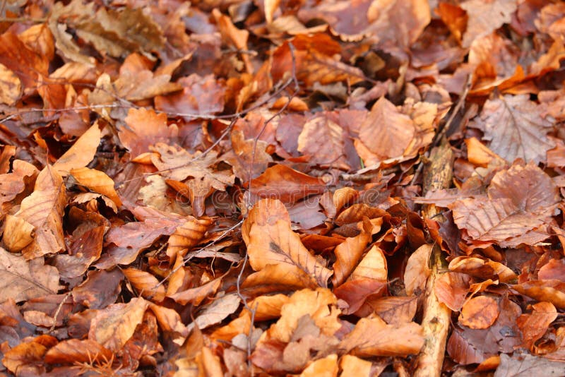 Slushy Textures of a Cold Winter& X27;s Landscape Stock Image - Image ...