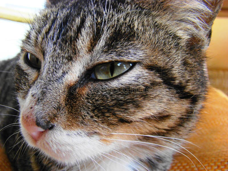 Whats Nothing Look Like Stock Photos - Free & Royalty-Free Stock Photos ...