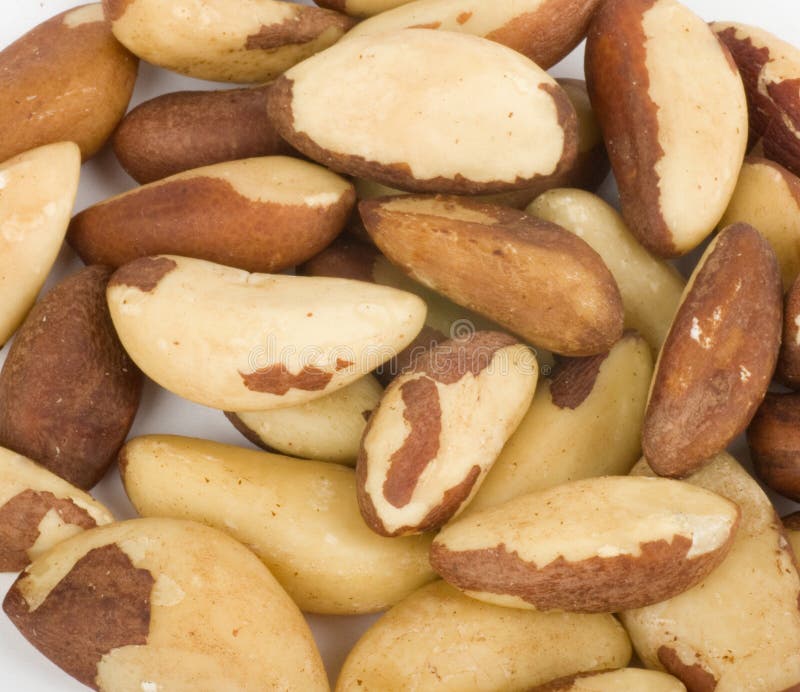 Smakelijke Braziliaanse Noot Stock Afbeelding - Image of seizoen ...