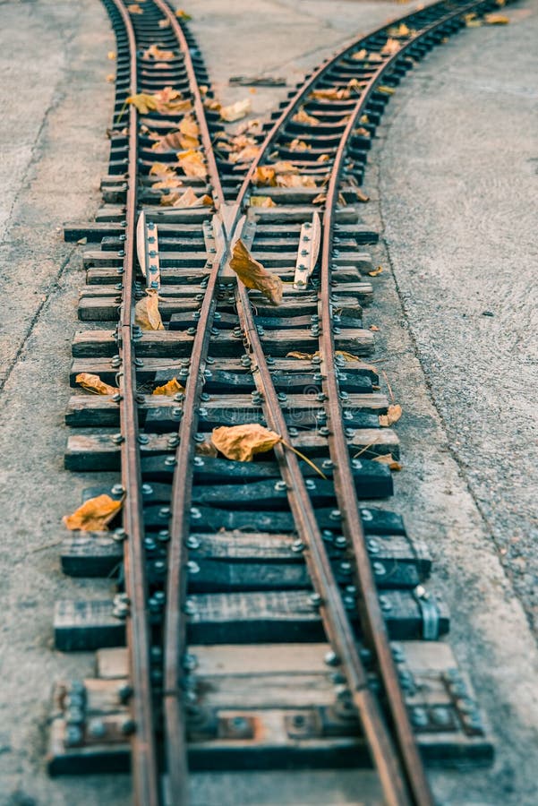 Small Abandoned Train Tracks are a Game for Children Stock Image ...