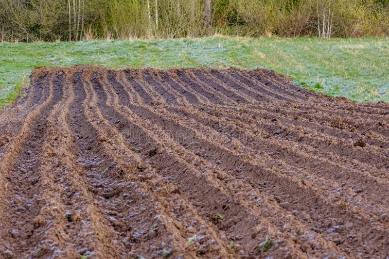 Small Agriculture Field with Plow Marks Stock Photo - Image of ...