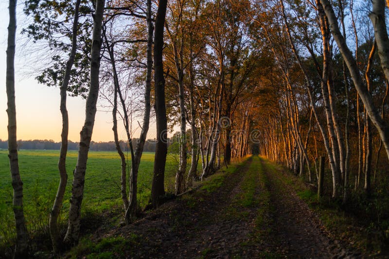 A Small Alley in Autumn during a Sunset Stock Photo - Image of beauty ...
