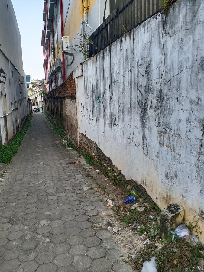 Alley, Town, Neighbourhood, Street Picture. Image: 102644436