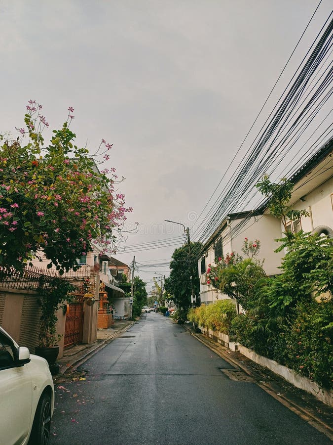 Small Alley on a Rainy Day. Stock Image - Image of bueatiful, neture ...