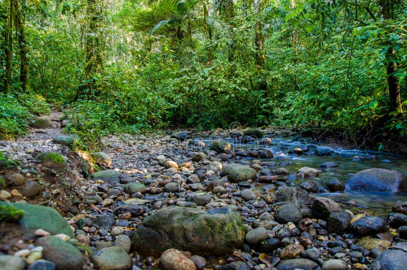 Small Amazon Jungle Sideriver with Little Water Exposing Rocks and ...
