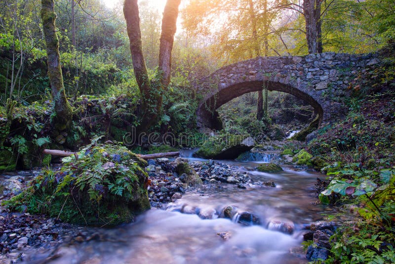 Small Ancient Bridge of Rocks in a Creek in the Woods Stock Image ...