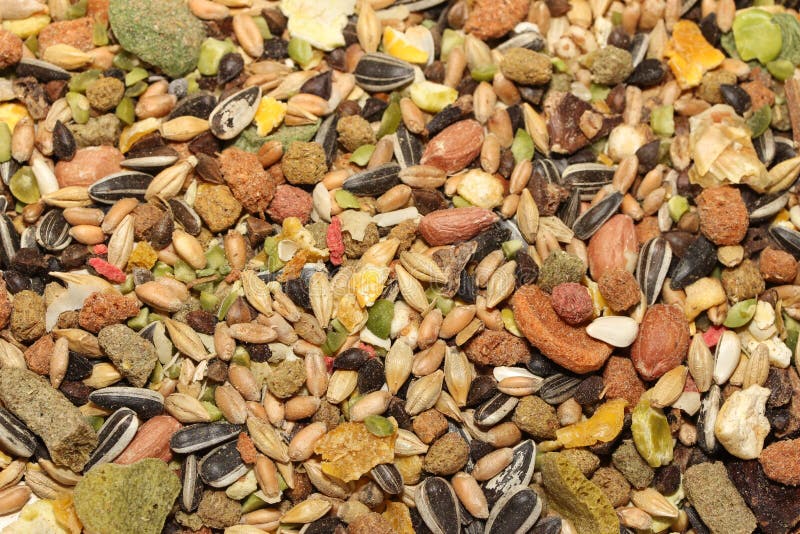 Small animal feed texture stock photo. Image of animal - 20018456