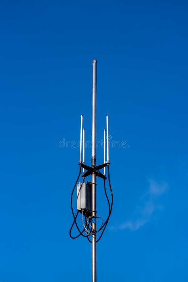 Small Antennaystem Stock Photos - Free & Royalty-Free Stock Photos from ...