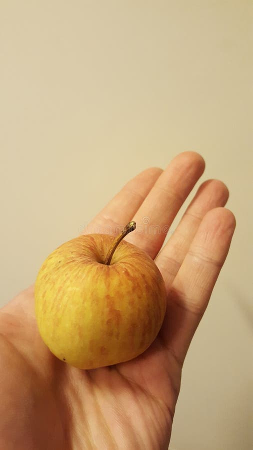 Small apple stock photo. Image of apple, fruit, details - 81965414