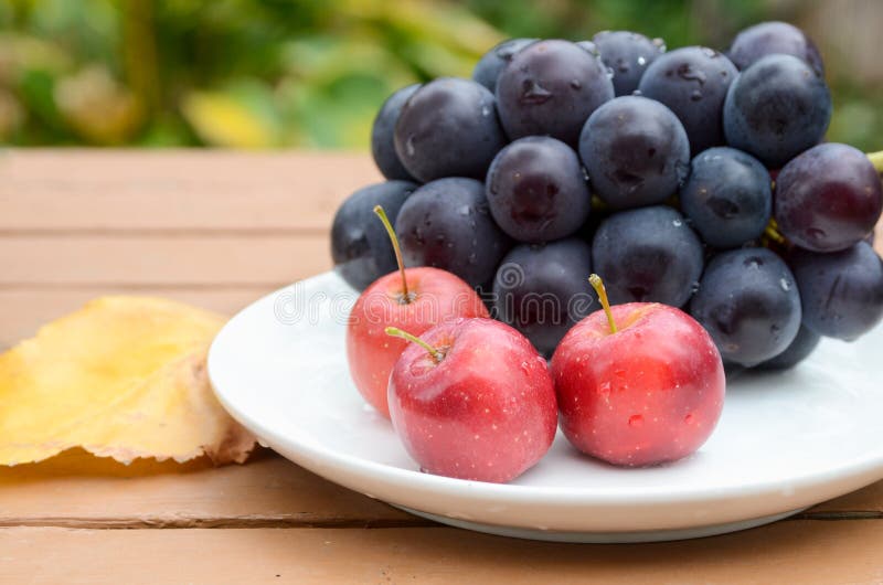 Big and small apple stock photo. Image of appetizing - 15636808