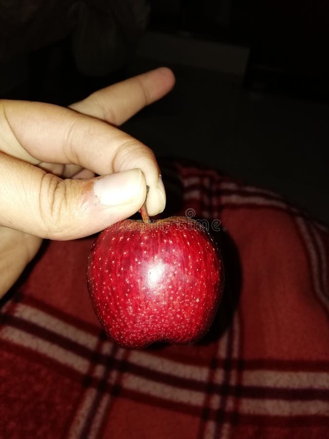 Small Apple, Red Apple, Cute Size Apple, Stock Image - Image of cute ...