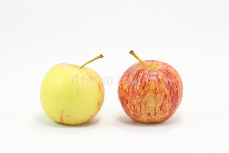 Small apple stock image. Image of nature, green, apples - 61105945