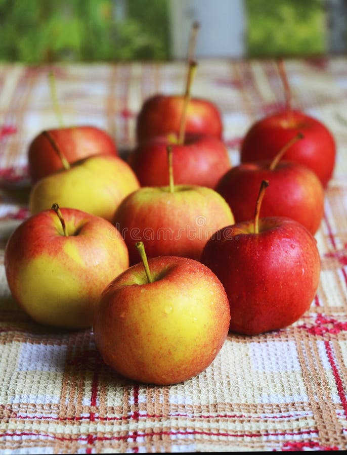 Small Apples stock photo. Image of fabric, green, pattern - 45139514