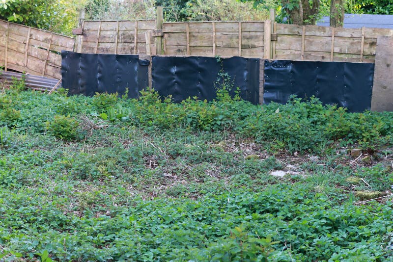 Waste ground stock photo. Image of outdoors, wood, woodland - 179499028