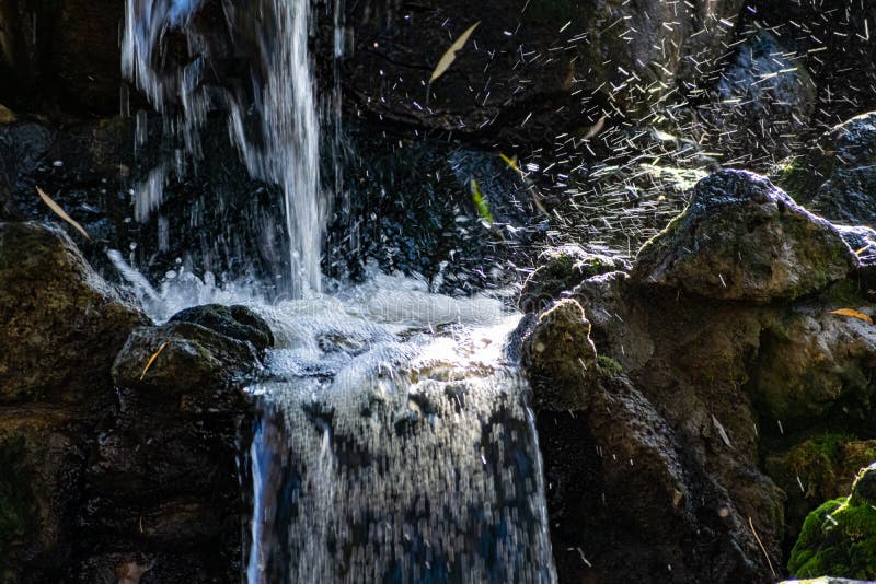 A Small Artificial Freshwater Waterfall that Flows into a Common Living ...