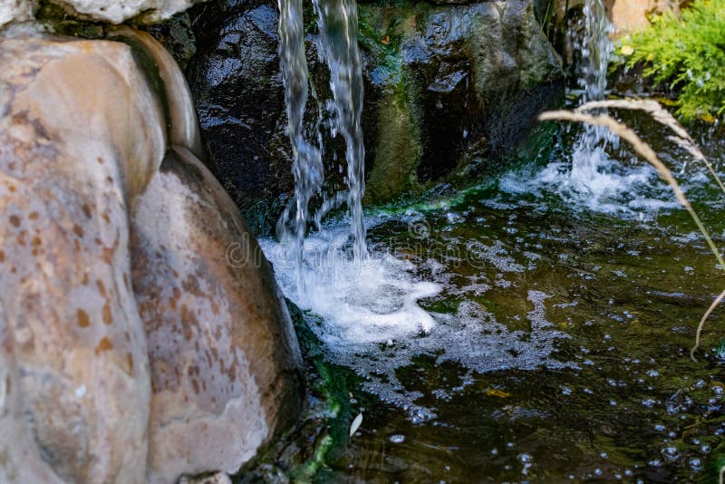 A Small Artificial Freshwater Waterfall that Flows into a Common Living ...