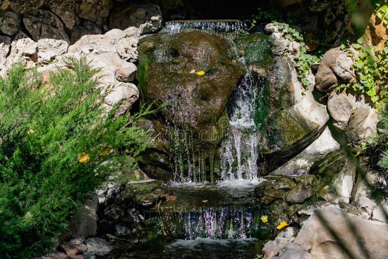 A Small Artificial Freshwater Waterfall that Flows into a Common Living ...