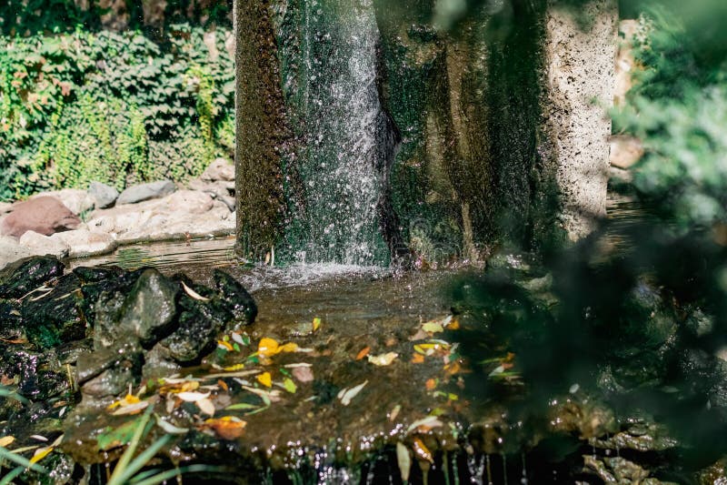 A Small Artificial Freshwater Waterfall that Flows into a Common Living ...