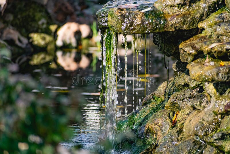 A Small Artificial Freshwater Waterfall that Flows into a Common Living ...